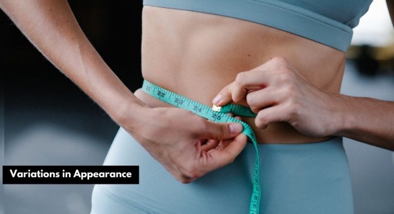 What Does a 23 Inch Waist Look Like on a Woman? [Guide 2023]
