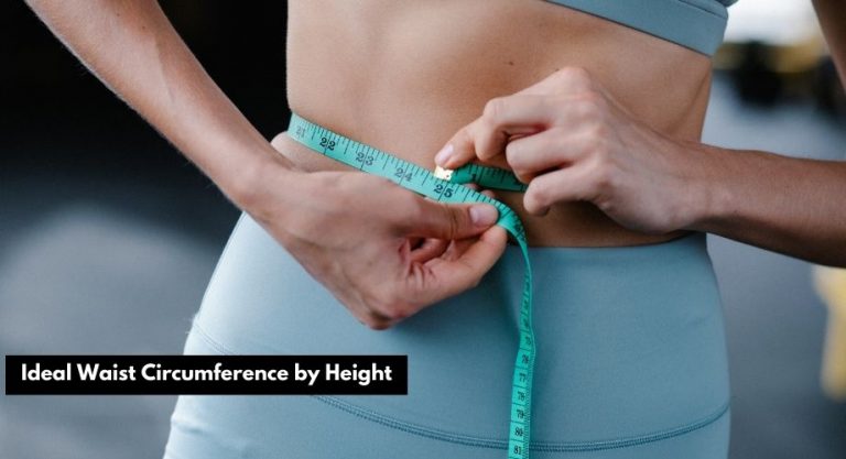 Average Waist Size and Circumference for Women and Men [Guide 2025]